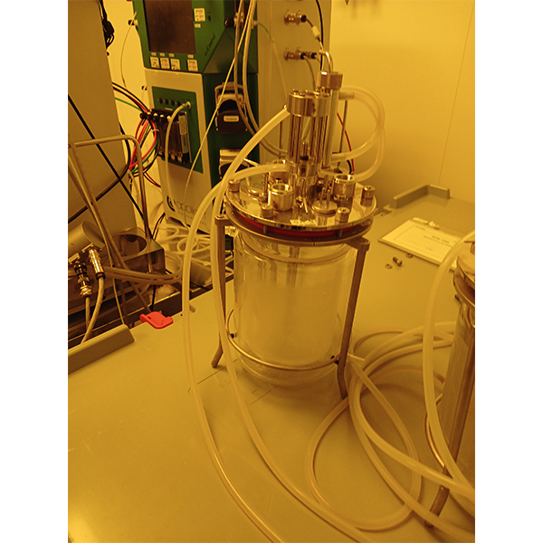 bioreactor- Applikon - ex-lab