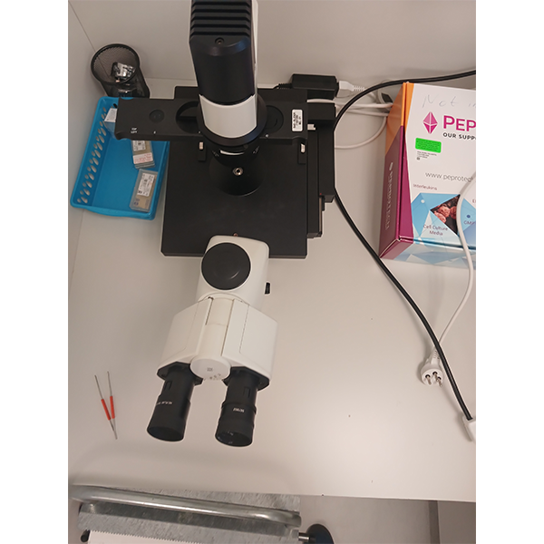 microscopes- various manufacturers - ex-lab