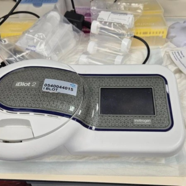 IBlot Gel transfer system- Invitrogen - ex-lab